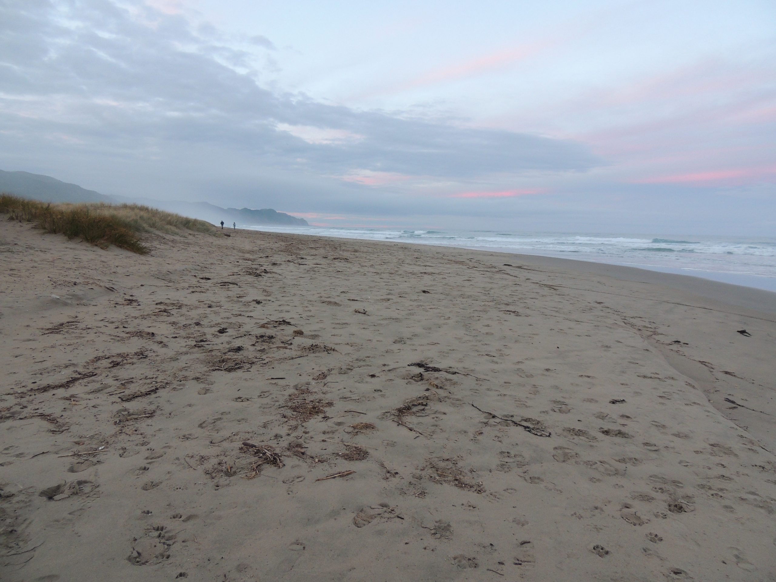 Gallery – Ocean 87