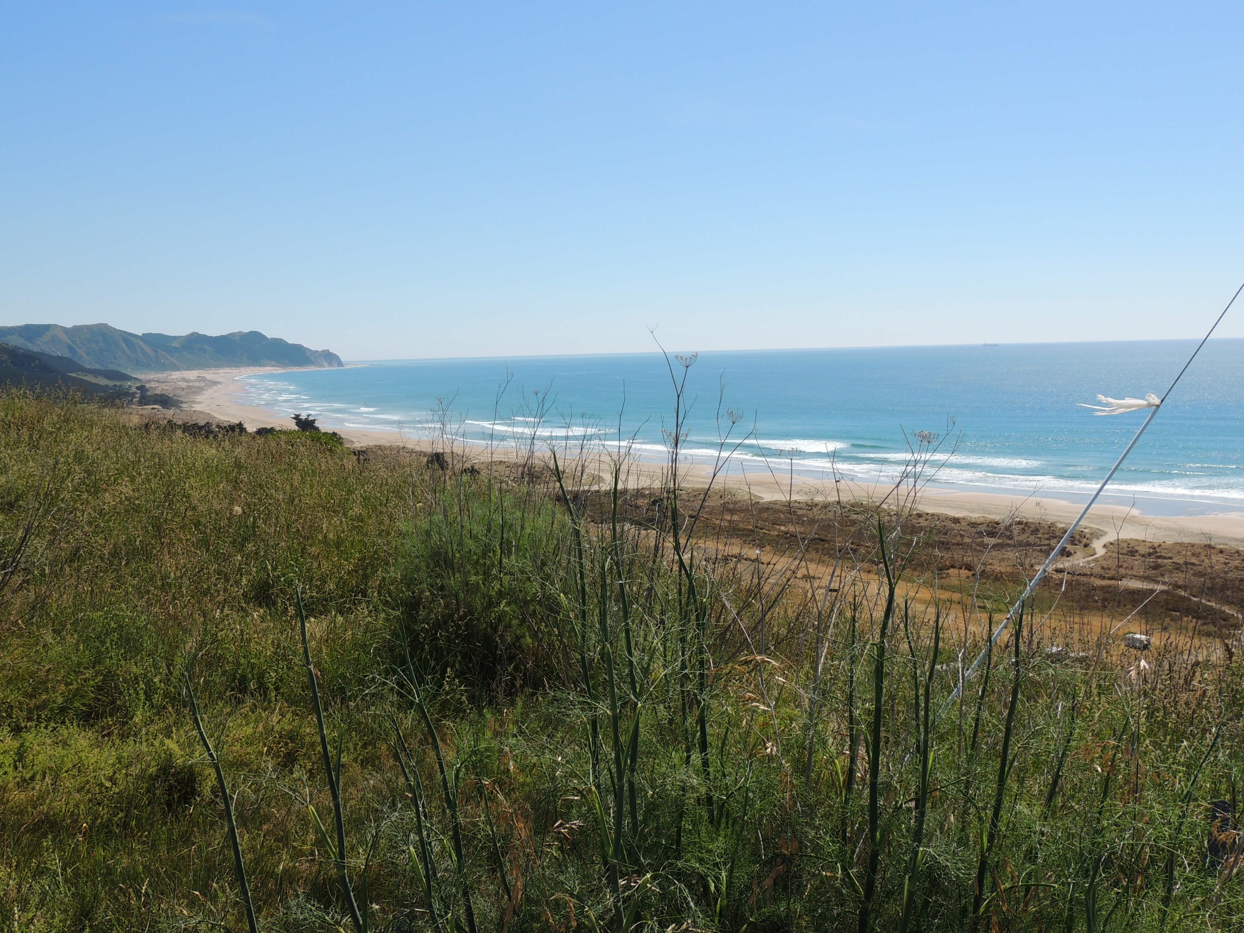 Gallery – Ocean 87